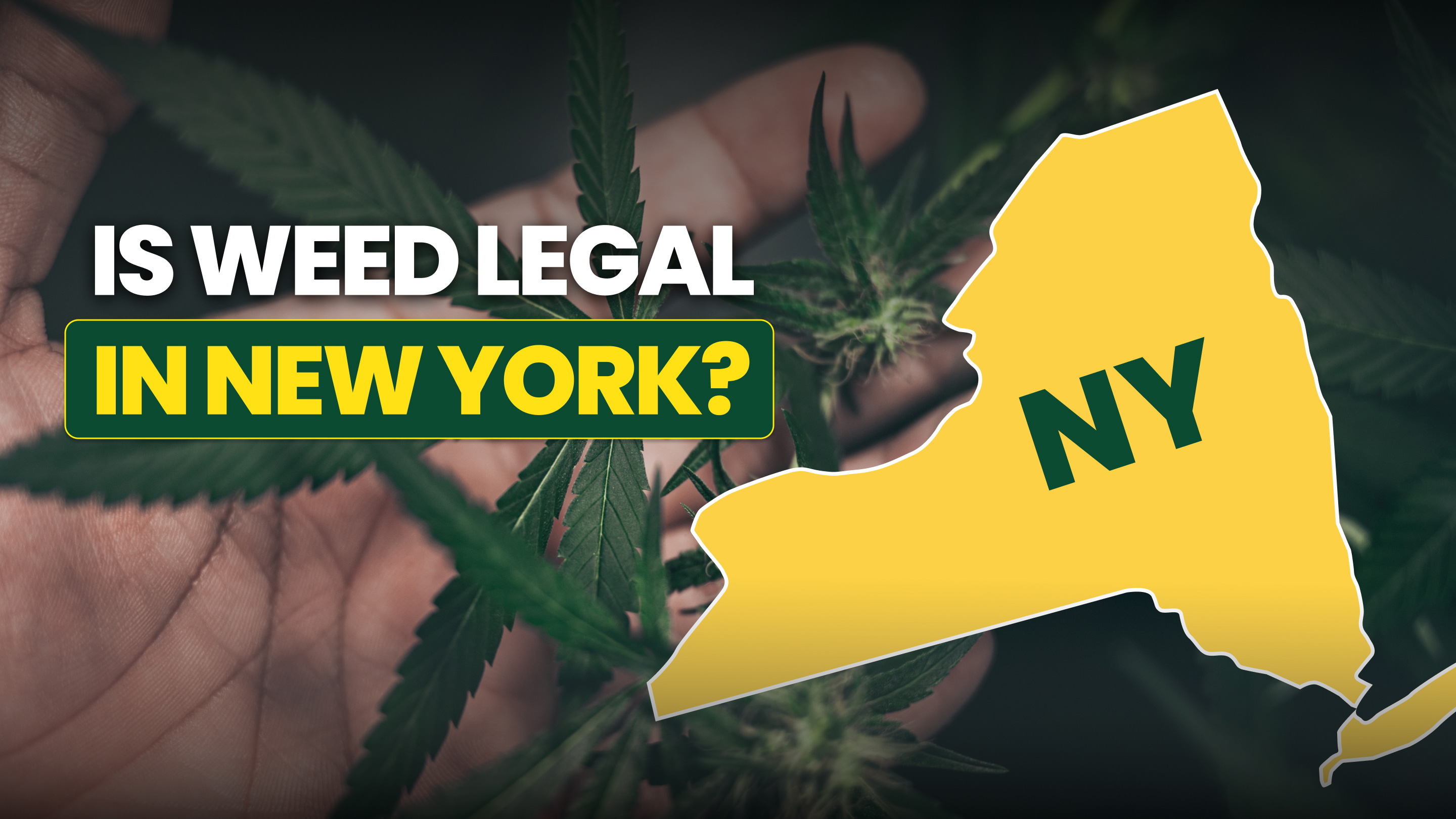 Is Weed Legal in New York? What You Need to Know Before Visiting a ...