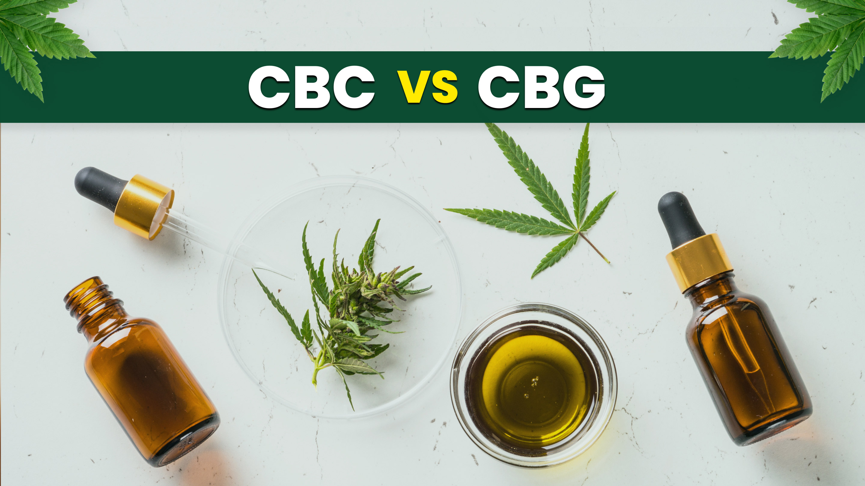 CBC vs CBG: Understanding the Key Differences and Benefits
