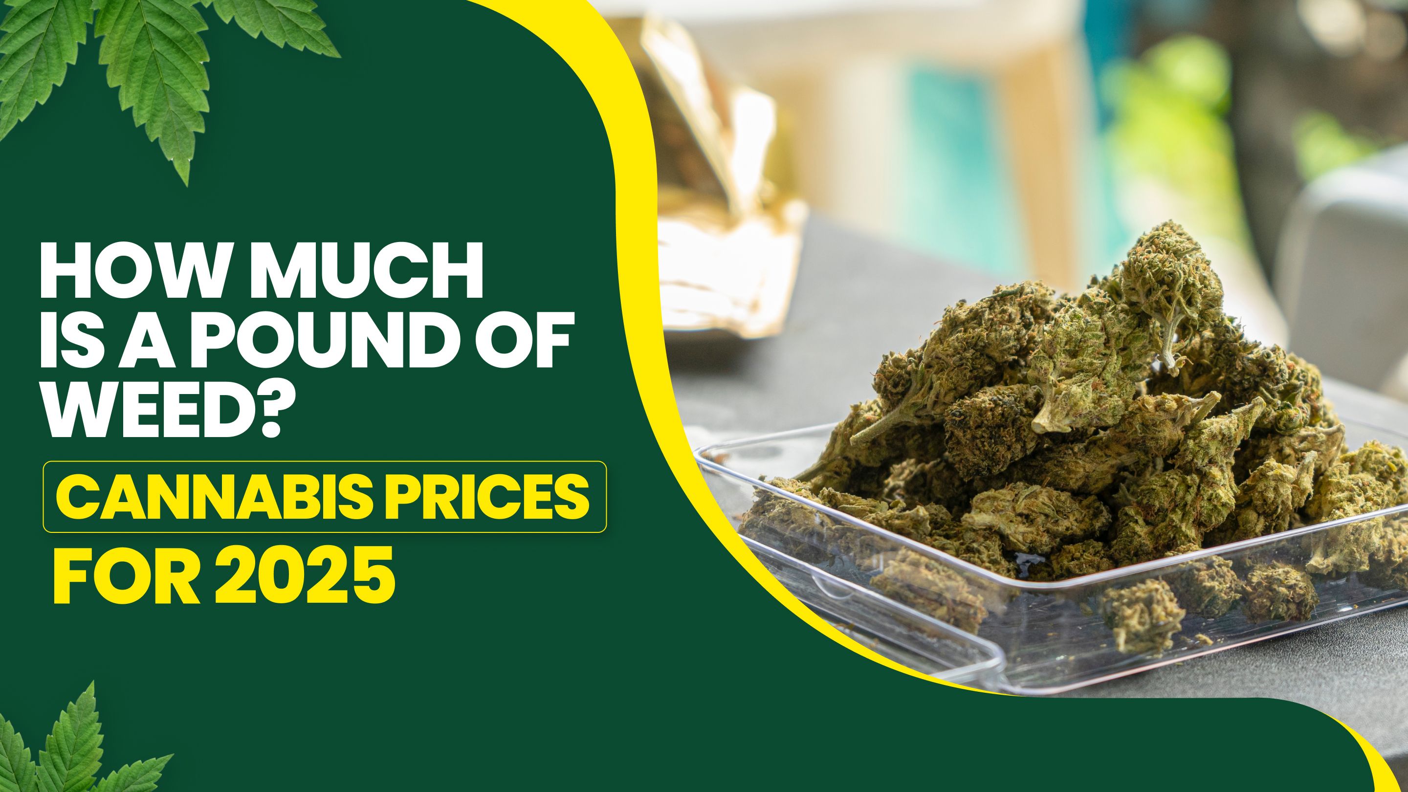 How Much Is a Pound of Weed? Cannabis Prices for 2025