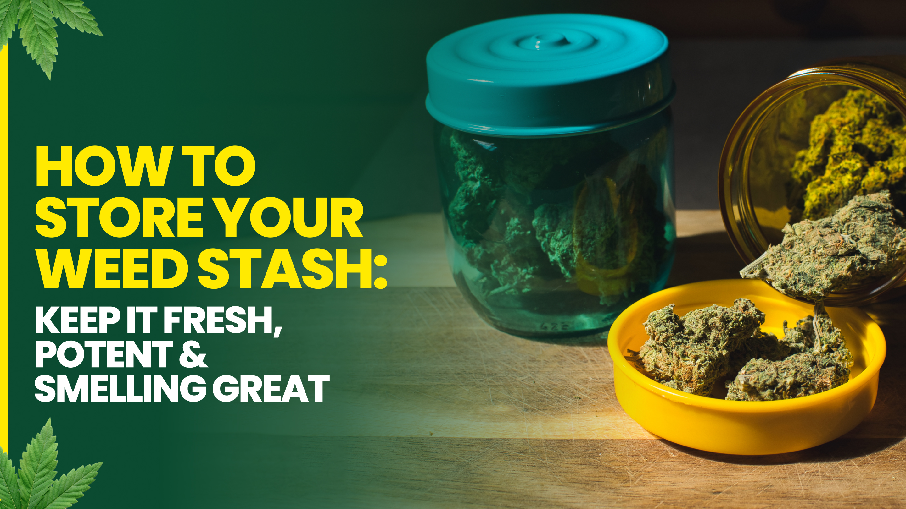 How to Store Your Weed Stash: Keep It Fresh, Potent & Smelling Great