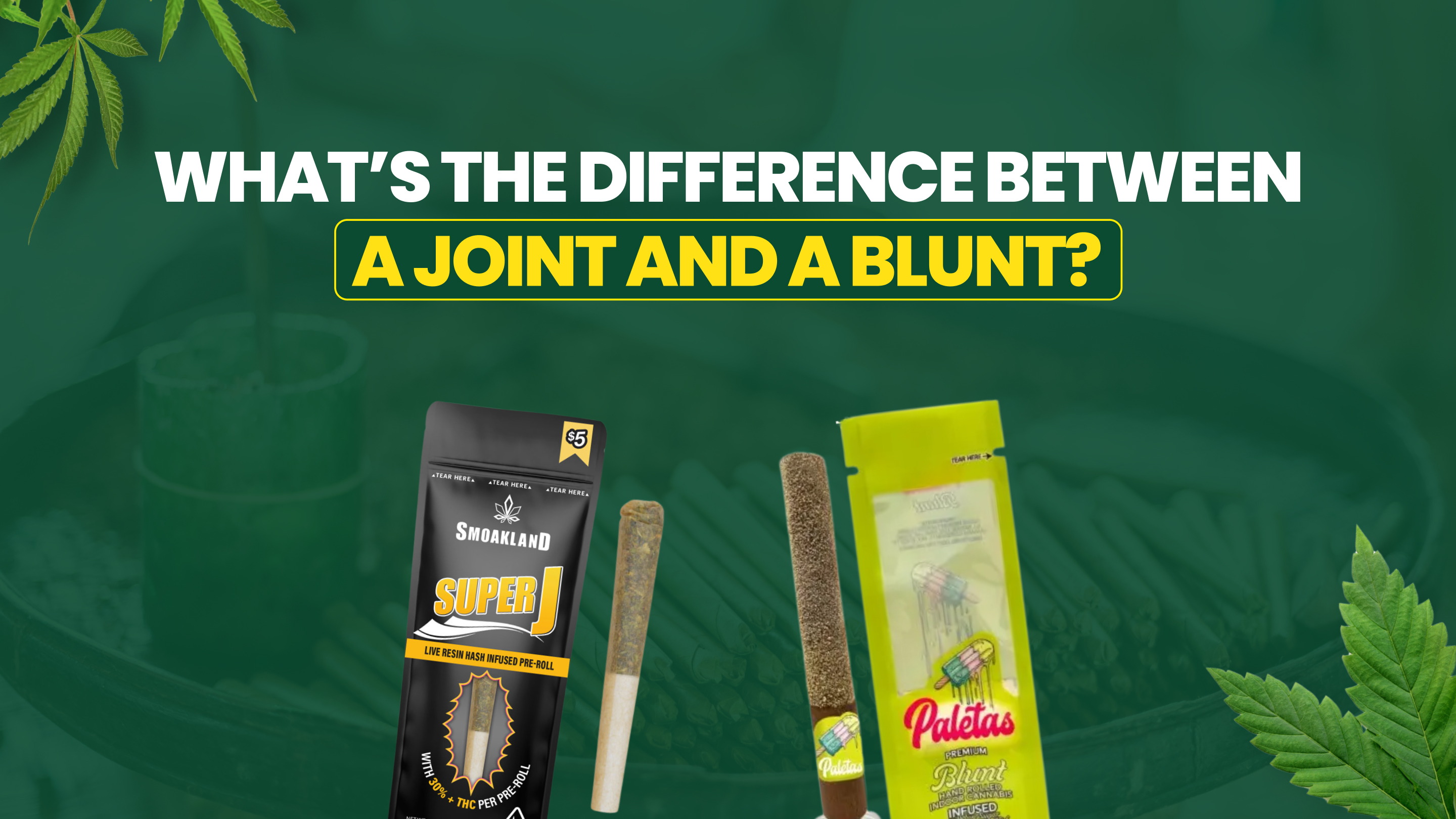 Joint vs Blunt: Key Differences Explained | Smokeland Weed Delivery