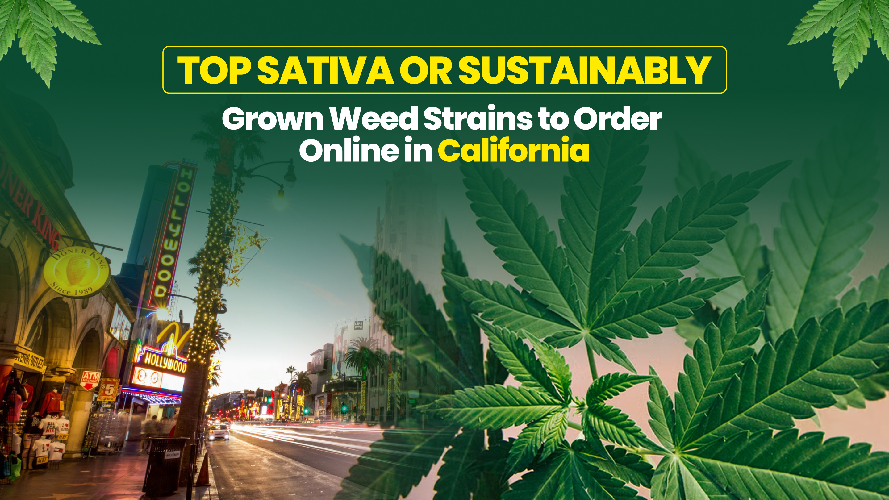 Best Sativa & Sustainably Grown Weed Strains to Order Online in California