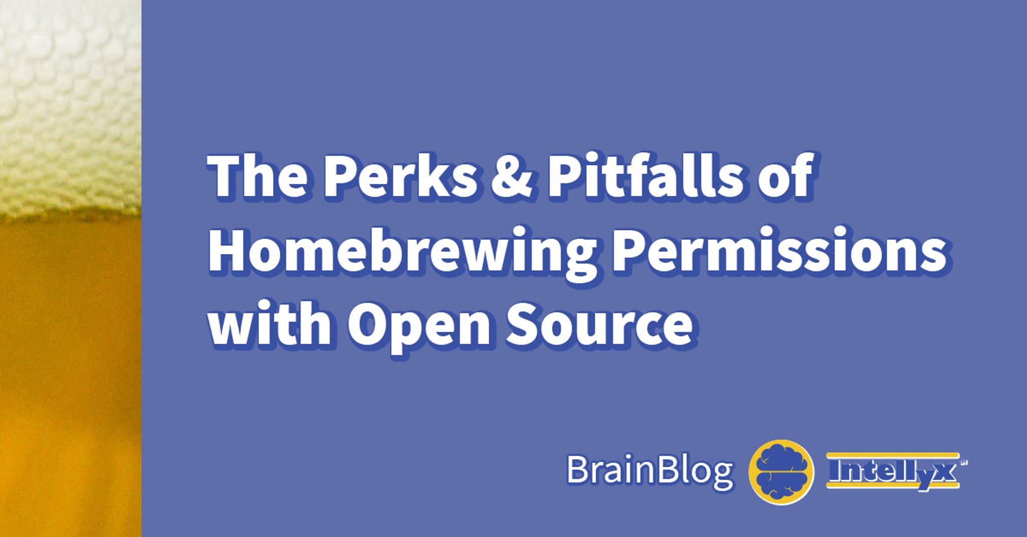 Intellyx BrainBlog: The Perks and Pitfalls of Homebrewing Permissions ...