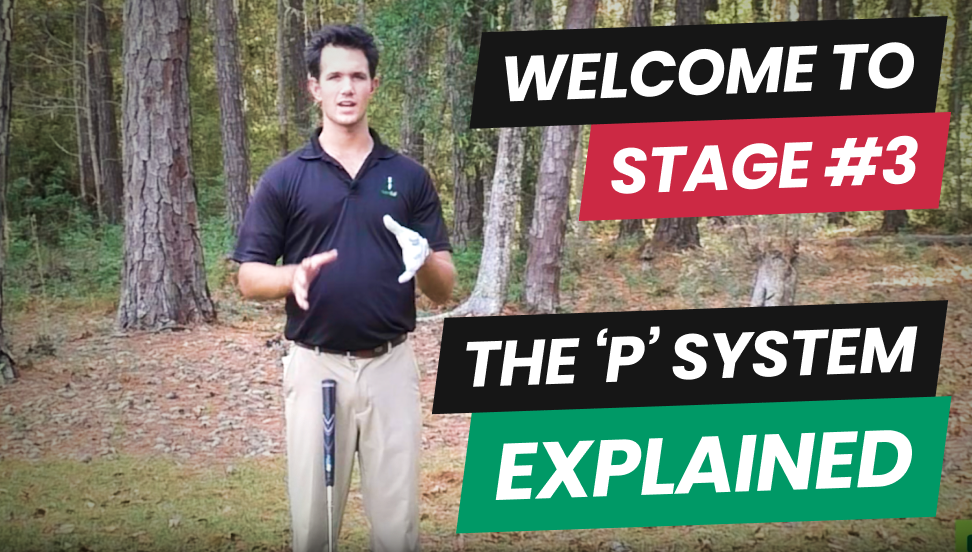 The 'P' System Explained