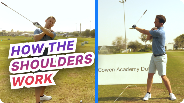 How the Shoulders Work