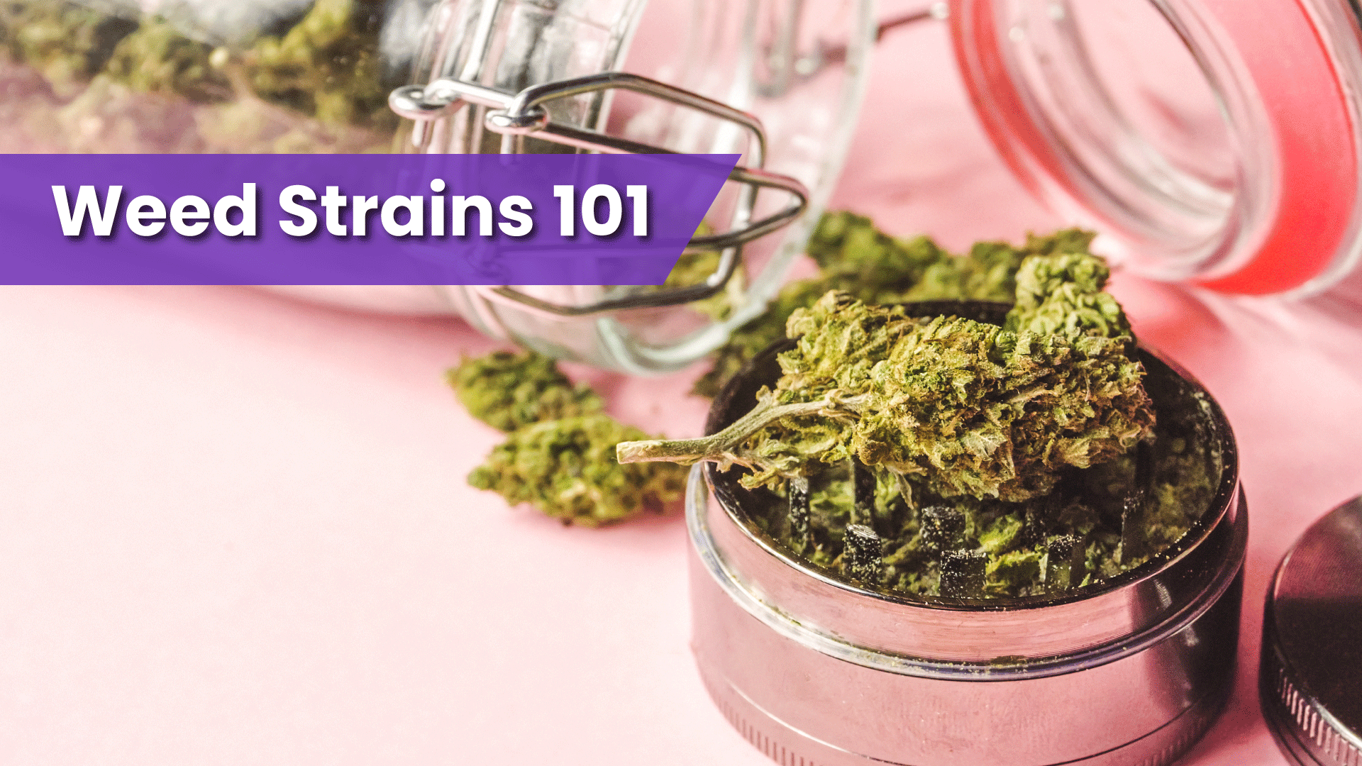 Weed Strains 101: What You Should Know about Cannabis