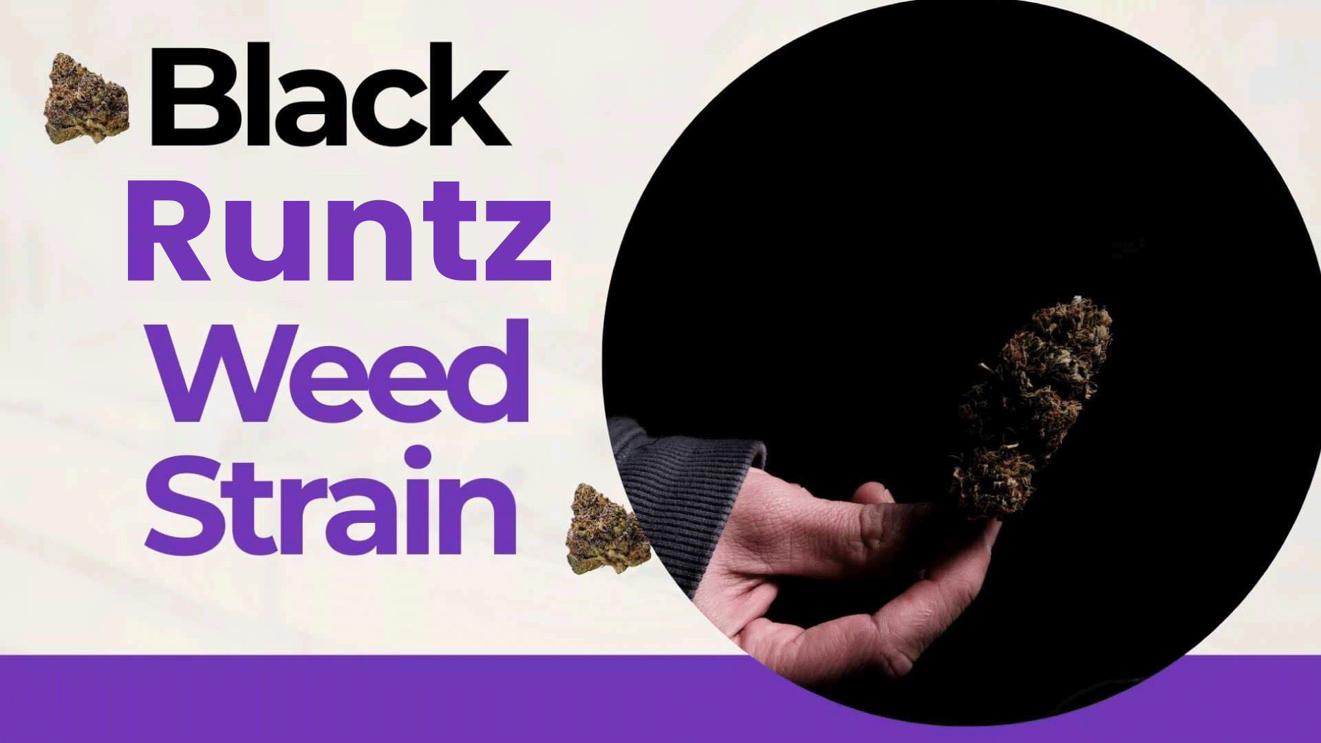 Black Runtz Weed Strain Review: Effects, Flavor, Aroma