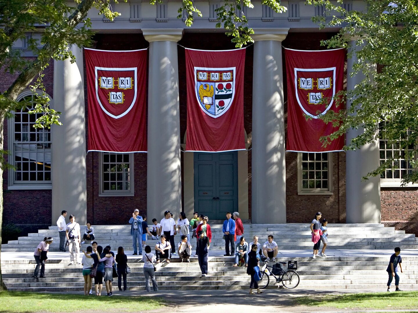 Learner Stories | Harvard Online