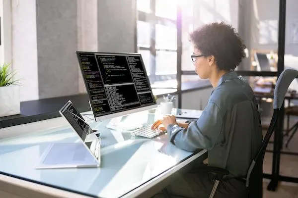 Professional Certificate in Learning Python for Data Science | Harvard ...