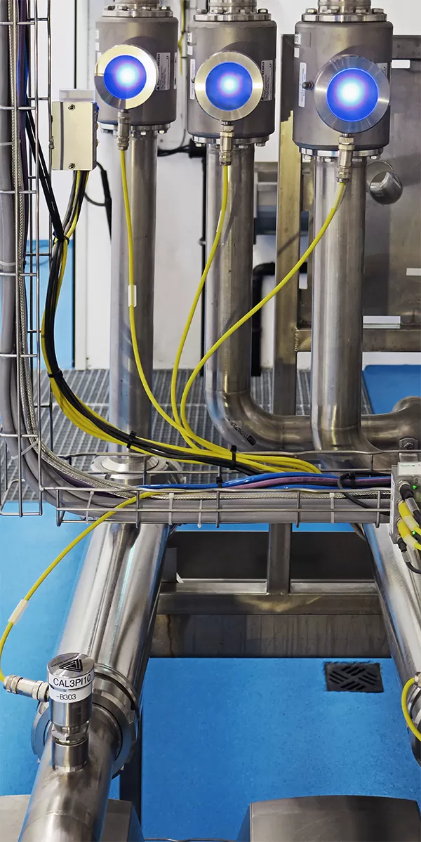 Electromagnetic Flow Meters in Hygienic applications - Anderson-Negele ...